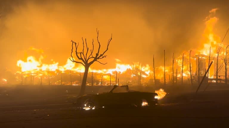 Pacific Palisades Fire Recovery: Debris Removal & Rebuilding